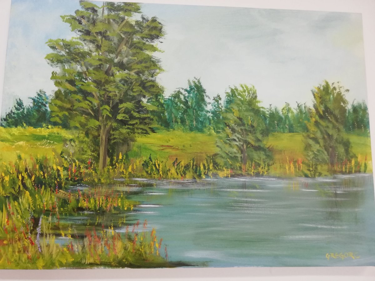 OBJEM SRCA - katalog slik